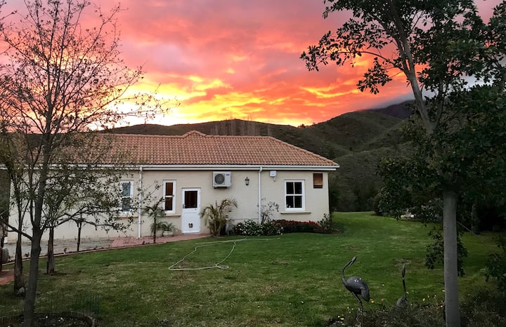 La Paradiso - Robertson