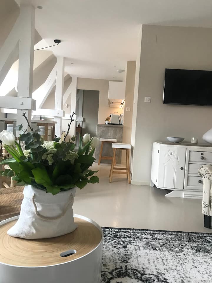 Centre Ville, Charmant Deux Pièces Sous Les Toits. - Estrasburgo