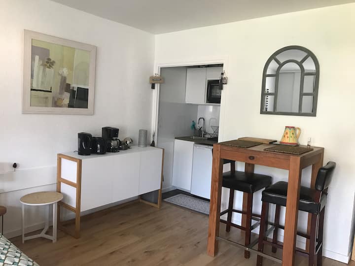 Appartement Cosy De 31m2 Avec Vue Sur Le Revard - Aix-les-Bains