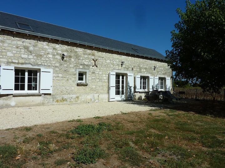 Longère Grand Gite - Chinon