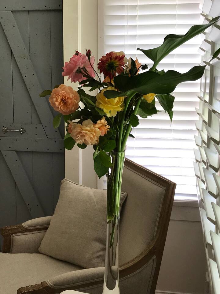 Velvet Pear Cottage - Bermagui