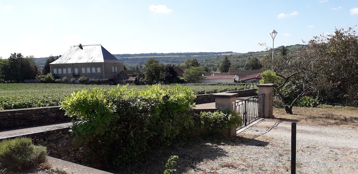 Le Passe-temps - Santenay