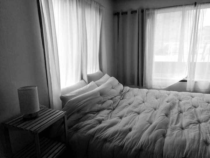 제2023-1294호  [Jeju Damoa] - Jeju-si