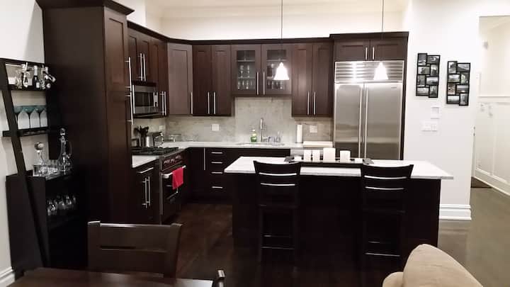 Lakeview Luxury Condo - Andersonville - Chicago