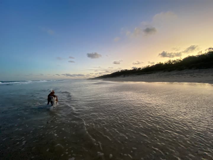 Seashores…footsteps From The Beach - Marcoola