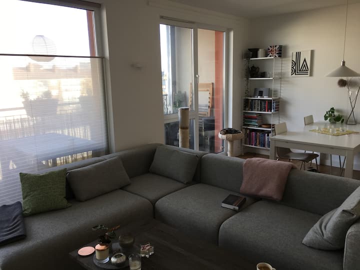 Spacious, Modern 3 Bed Flat! - London