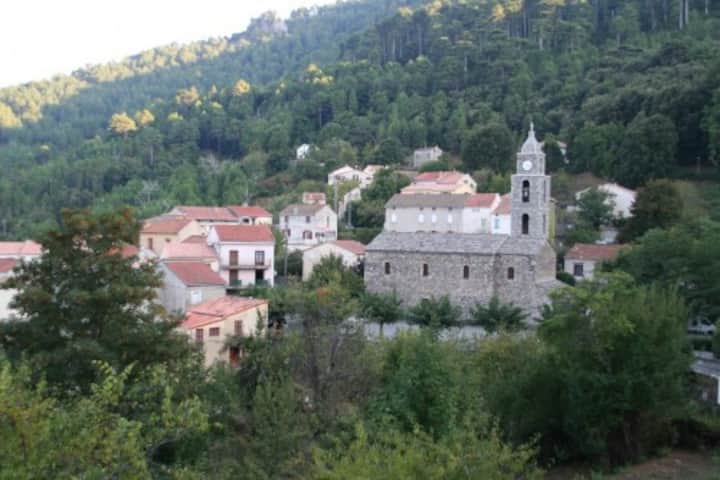 Accueillant …Village Tres - Venaco