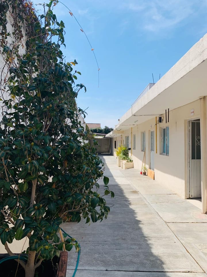 Departamento Moma Joss Limpio Y Seguro - León