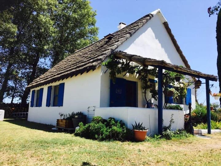 Cabane De Gardian - Saintes-Maries-de-la-Mer