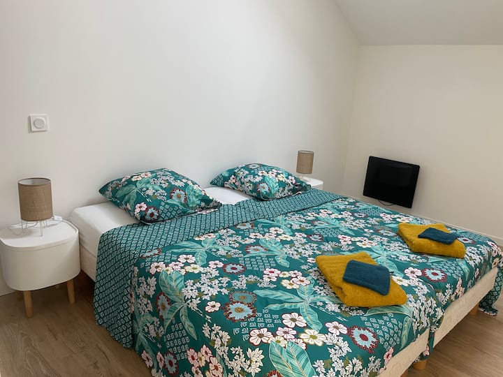 Duplex Avec Grande Terrasse - Thouaré-sur-Loire