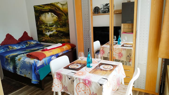 Budget Friendly Furnished Apartment - Sindelfingen