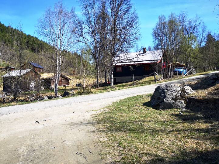 Sjarmerende Hytte Med Enkel Standard - Vågåmo