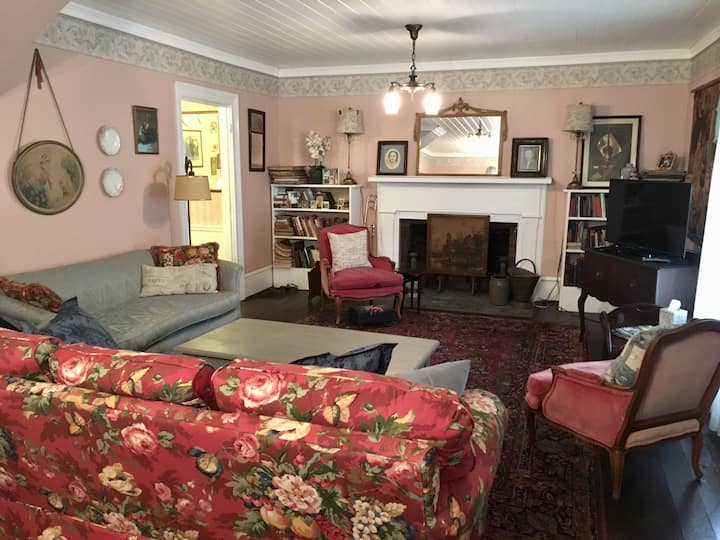 Vintage Farmhouse In The City: Ut-downtown-ijams - Knoxville, TN