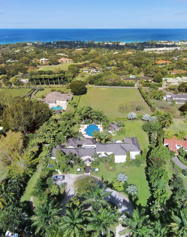 Coco De Mer - Barbados