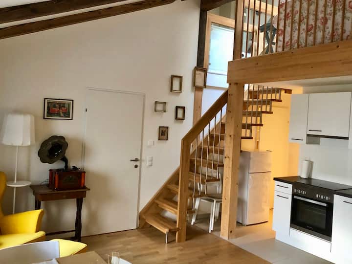 Studio Flat Near City Center - Viena