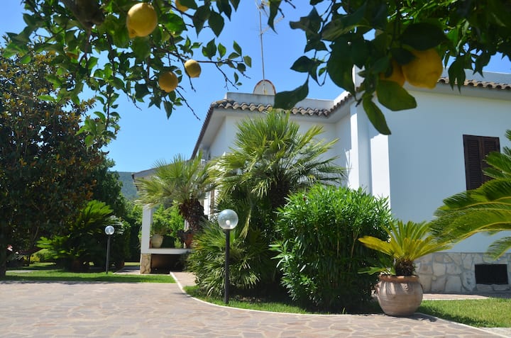 Villa Delle Cycas - Sabaudia