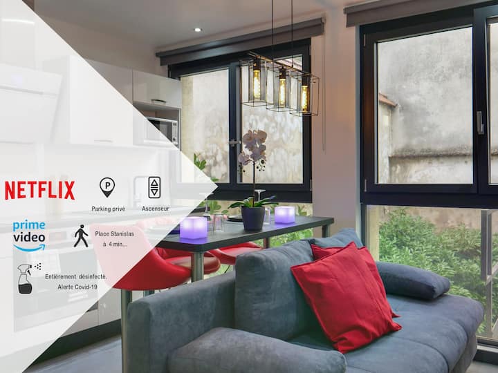 Nancy Centre-calme-parking Privé Gratuit - 南錫