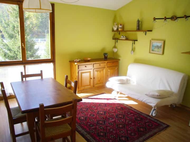 Ampio E Luminoso Bilocale (2-room Apt) Cesana T.se - Sestriere