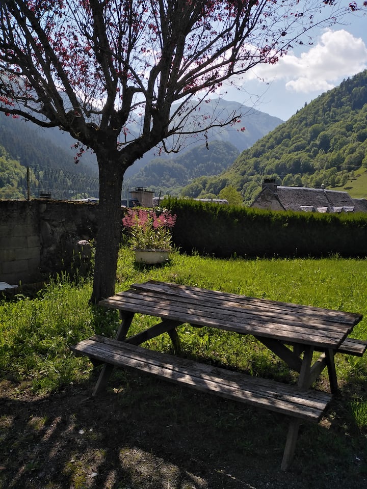 Aulon : Gite Au Coeur Du Village Avec Vue - Saint-Lary-Soulan