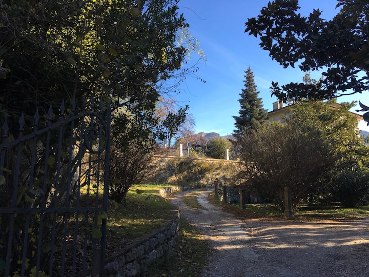 Villa Viola - Trient