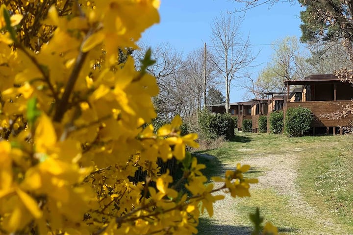 Camping Near Florence With Pool & Beautiful View - Empoli