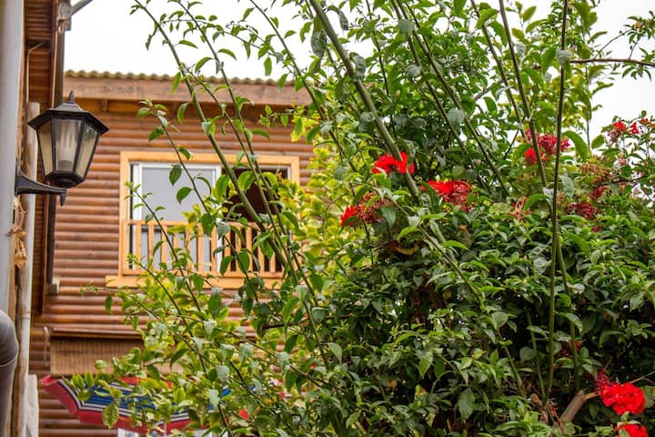 Depto.  # 5  Jardin Y Mar - Atacama