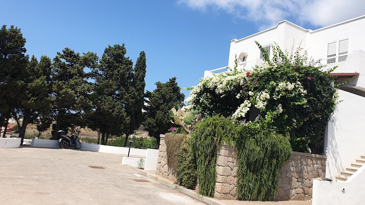 Appartement Avec Jardin à Pianoconte-lipari - Lipari