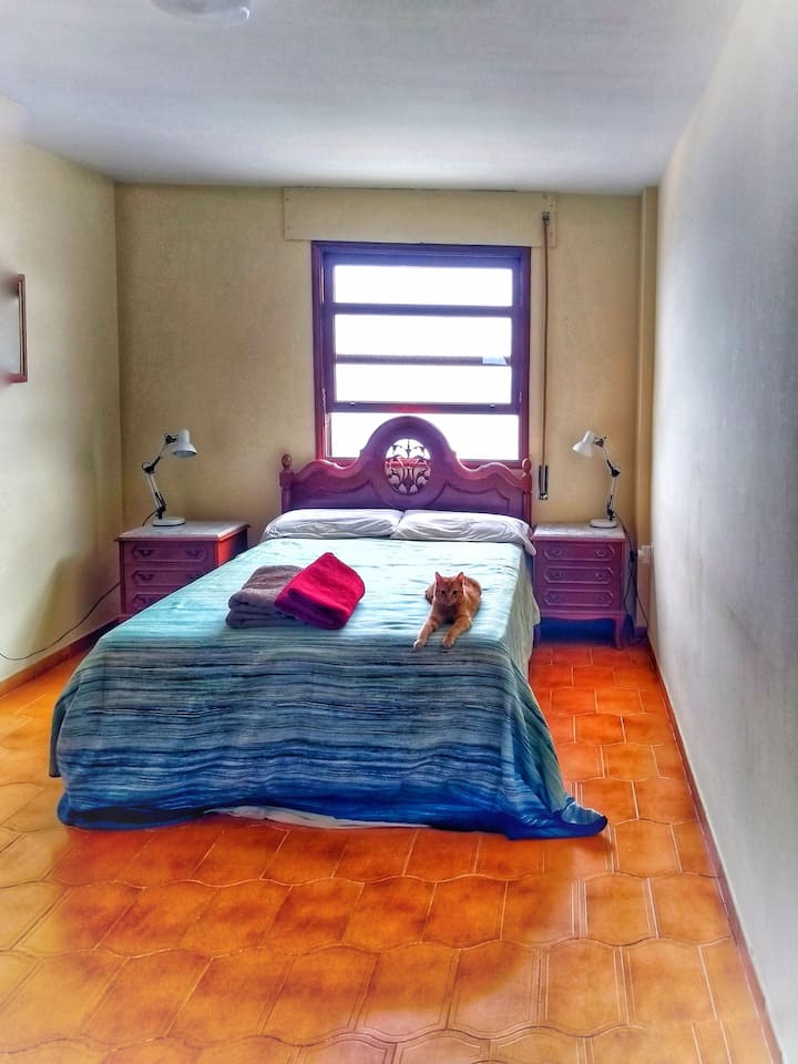 Warm, Cozy And Friendly Room. - Santa Cruz de La Palma