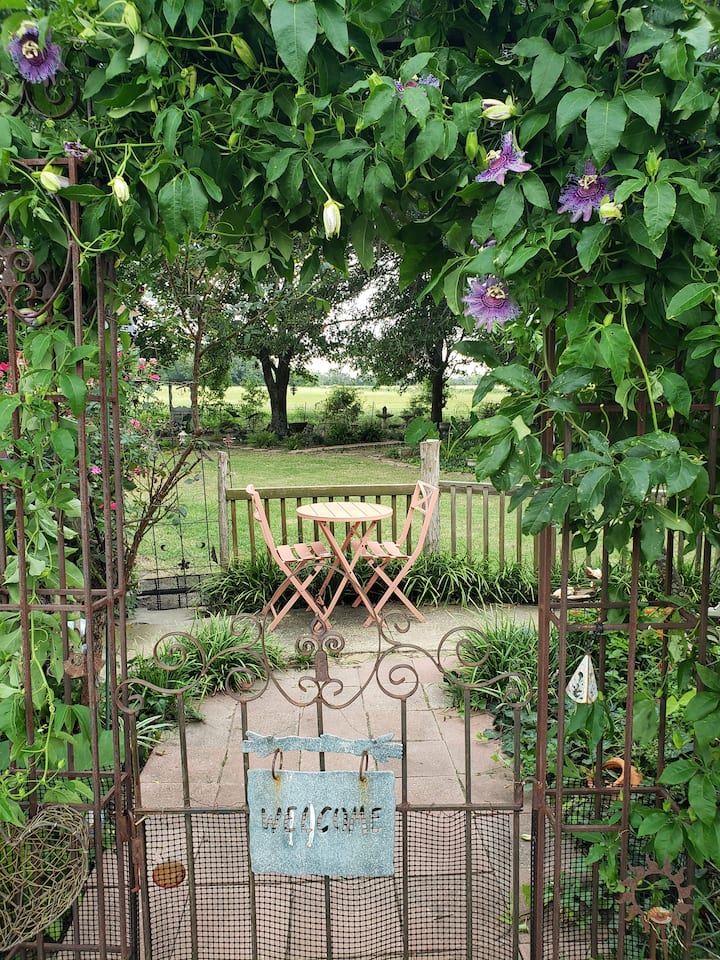 The Lilly Pad Guest Room Cottage Setting
See Pics - Canton, TX