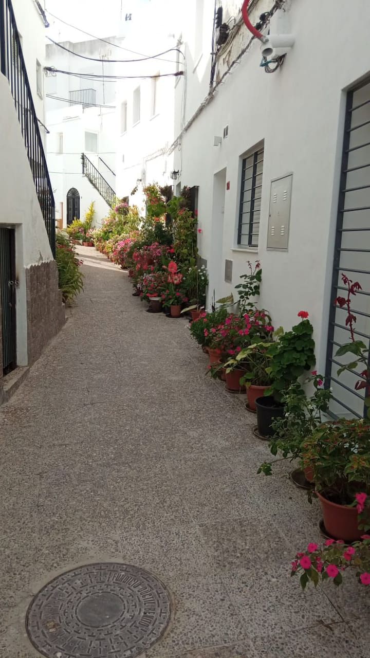 Estudió Céntrico - Conil de la Frontera