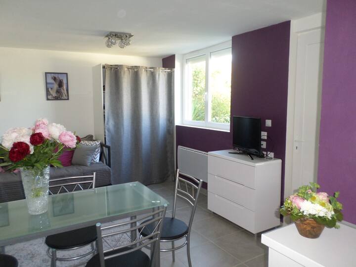 Studio Avec Piscine Proche De Marseille - Plan-de-Cuques