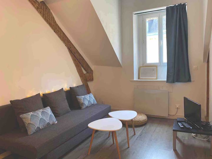 Studio Guépin : Hyper Centre Au Pied Du Tram - Nantes