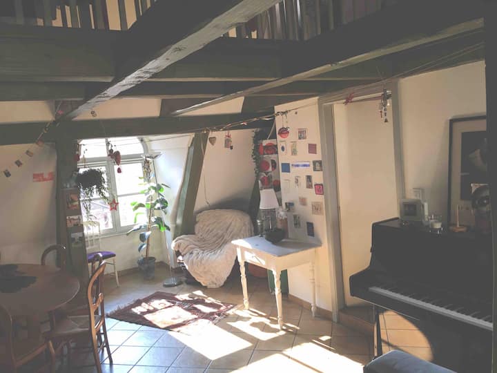 Duplex Chaleureux 130m2/  Plein Cœur Centre Ville - Estrasburgo