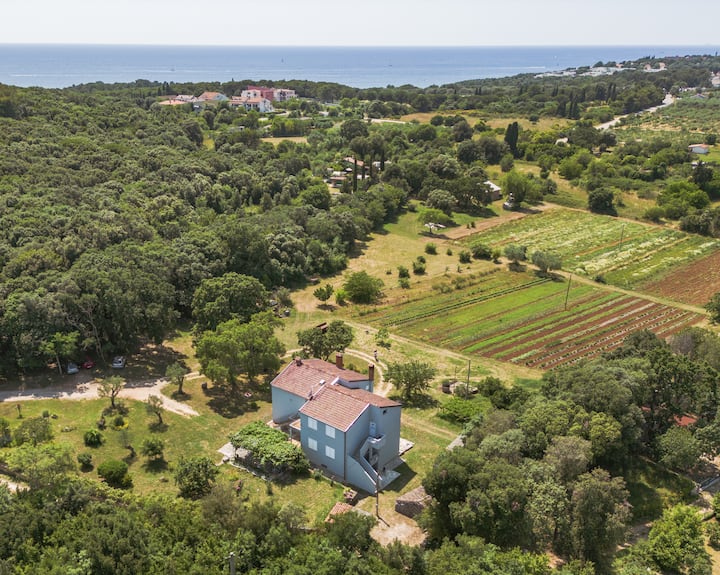 Apartment Irena 2, Free Parking ; 10 Min From Sea - Rovinj