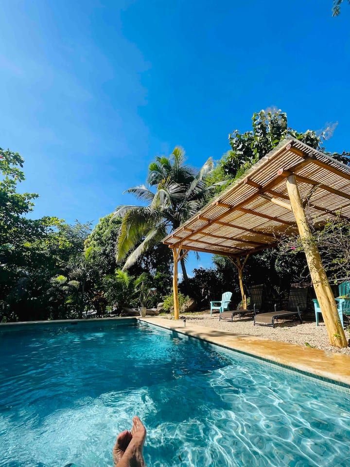 El Labrador # 3 - Tamarindo