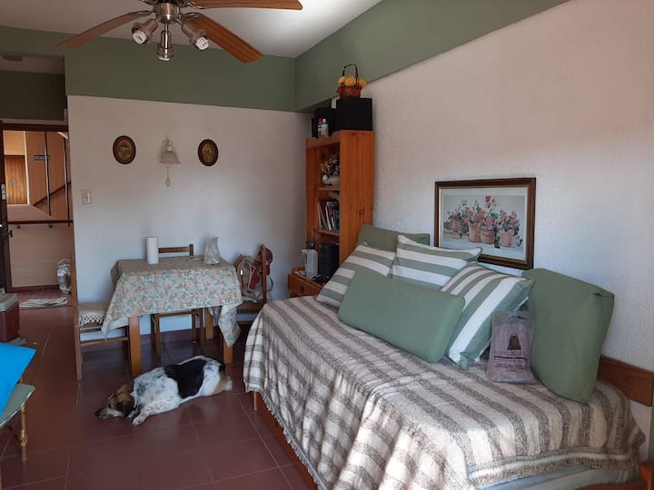 A Pasos De La Peatonal Y La Playa, 2 Y 103. - Villa Gesell