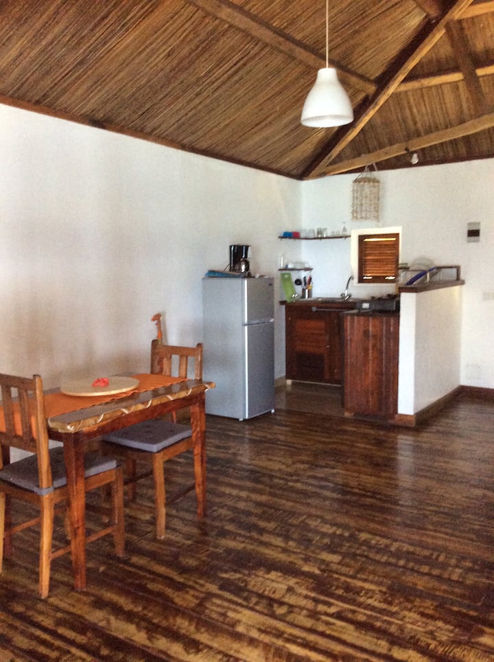 Tongasoabeach   Villa Palmier - Madagascar