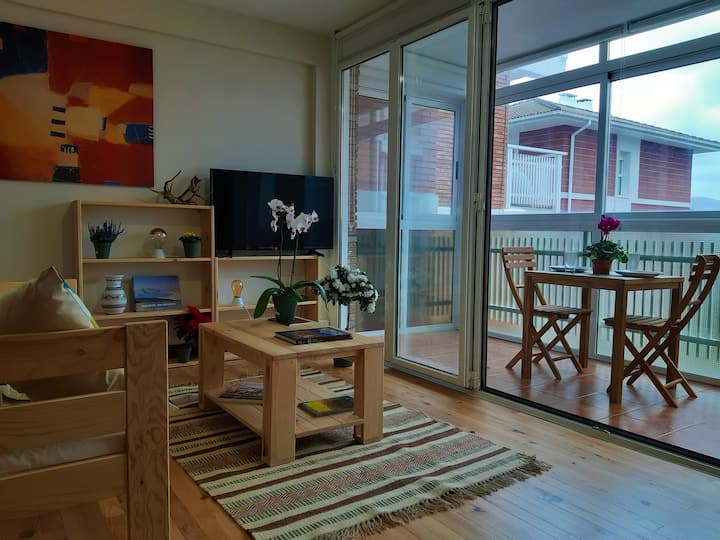 Bel Appartment Moderne - オンダリビア