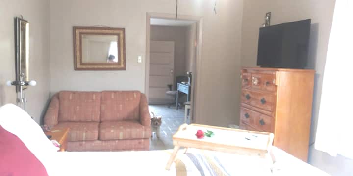 Kalascozykasita, Pets Ok. Daily, Weekly Or Monthly - Las Cruces, NM