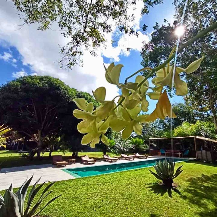 Villa Aiyana - Charming Property Near To The Beach - Trancoso