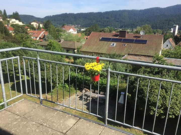 2 Zimmer Wohnung Mit Aussicht - Fribourg-en-Brisgau