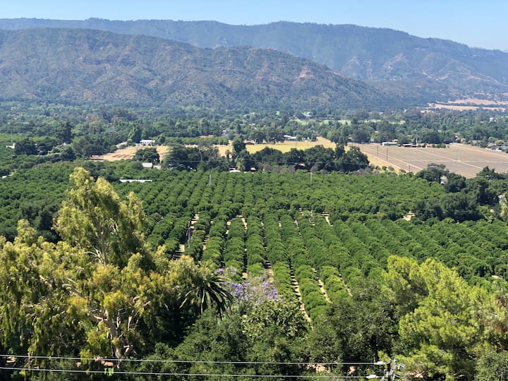 Feel The  Spirituality And Peace In Downtown Ojai - Ojai, CA