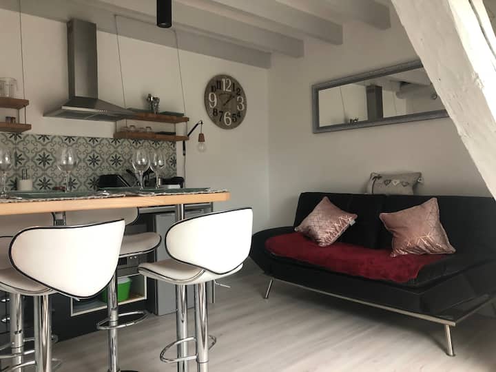 Atypik Studio (éTablissement Désinfecté) - Bourges