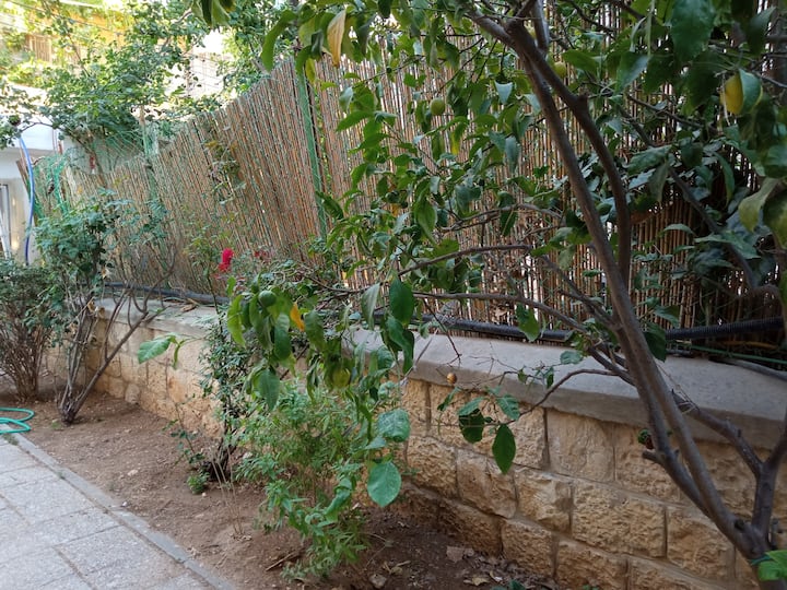 Your Own Cozy Place In Jerusalem - 예루살렘
