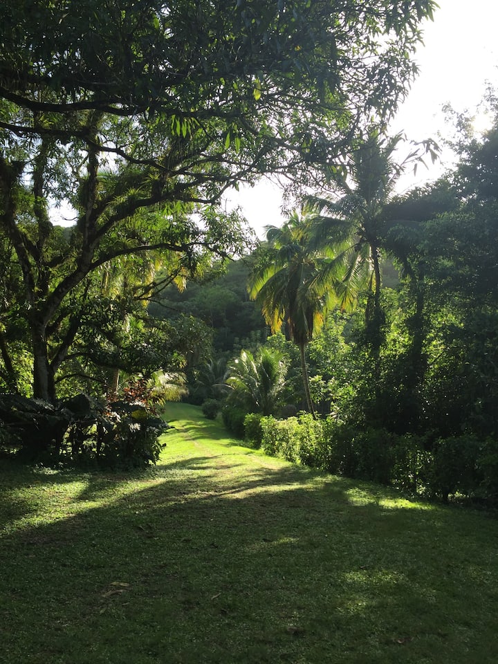Belize Jungle Home - Belice