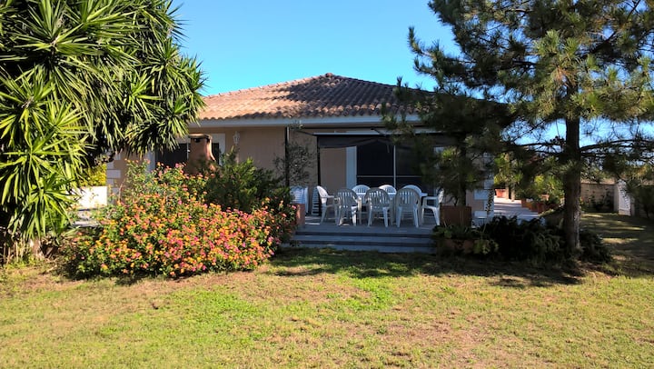 Pernicaccia - Lucciana