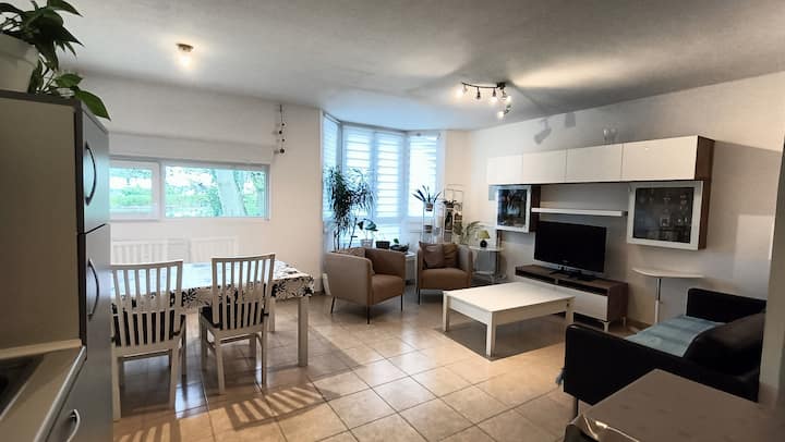 Agréable Appart T2 De 55m2 Au Pied Des Lacs - Villeneuve-d'Ascq