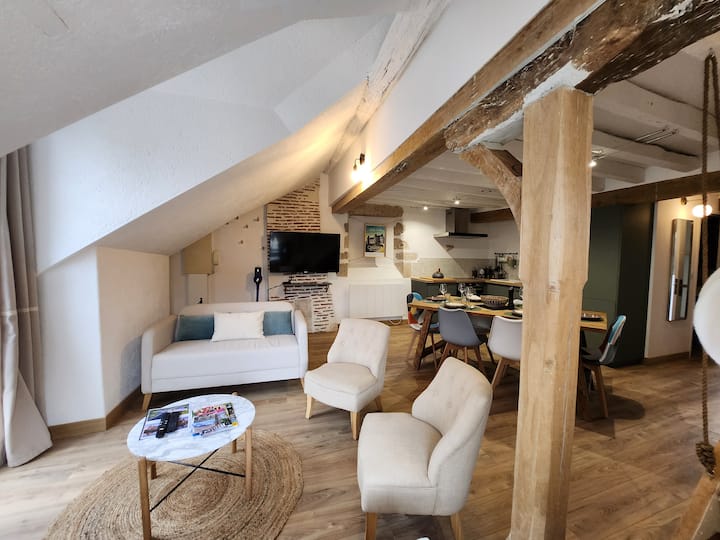 Coup De Cœur Assuré : Vue Château + Atypique - Blois