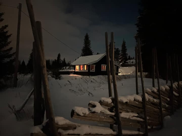 Under 10 Min Til Hafjell,  Og Hunderfossen - Øyer
