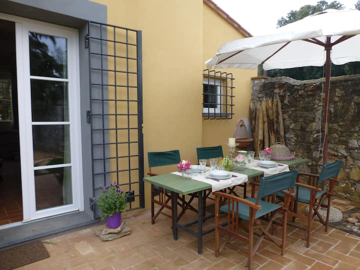 Relax & Country Ancient House - Lucca